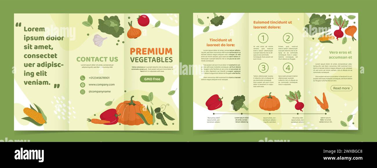 Vegetables brochure vector set Stock Vector Image & Art - Alamy