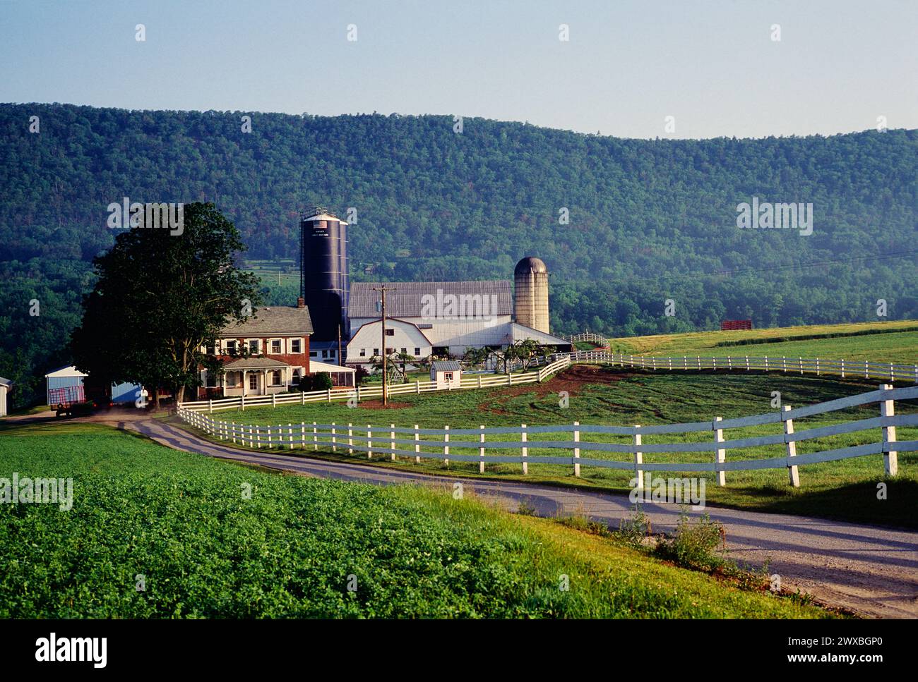 Lonely Spot dairy farm; Bellefonte; Pennsylvania; USA Stock Photo - Alamy