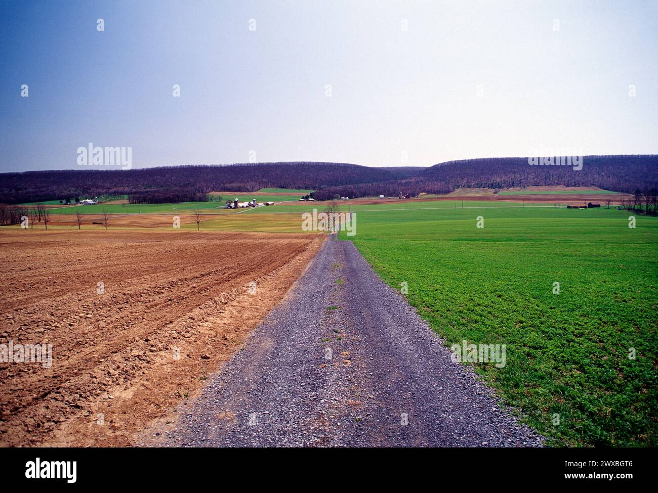 Gravel farm road; Valley Wide dairy farm; Bellefonte; Pennsylvania; USA ...