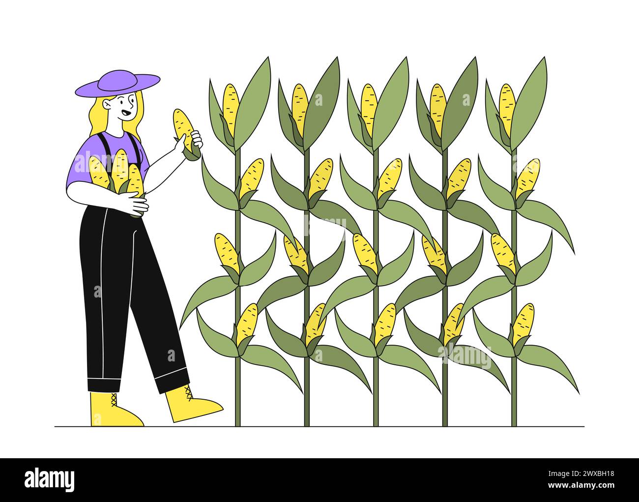 Woman harvesting corn vector linear Stock Vector Image & Art - Alamy