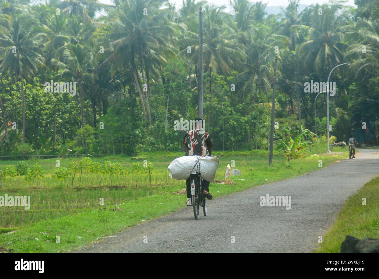 scene a man pedaling his bicycle and carrying a sack of grass to bring ...