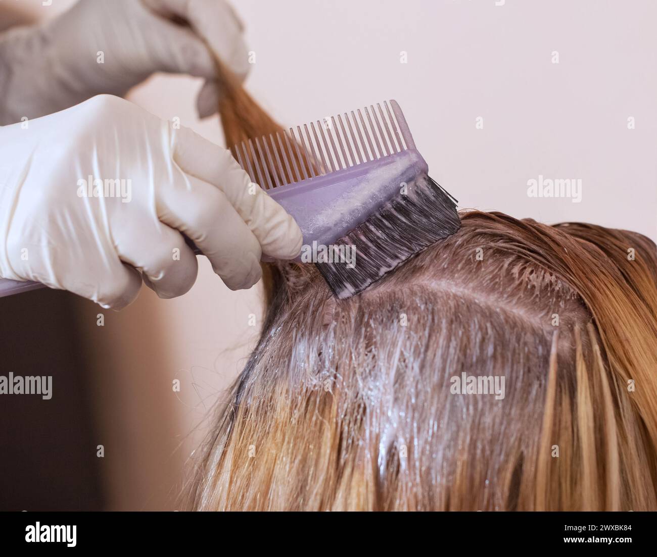 The hairdresser paints the woman's hair in white, apply the paint to ...