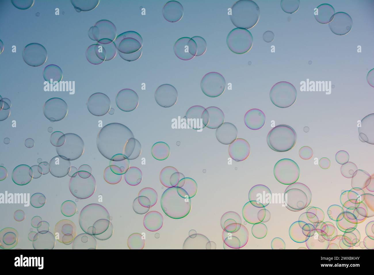 Many colorful soap bubbles float in the sky Stock Photo - Alamy