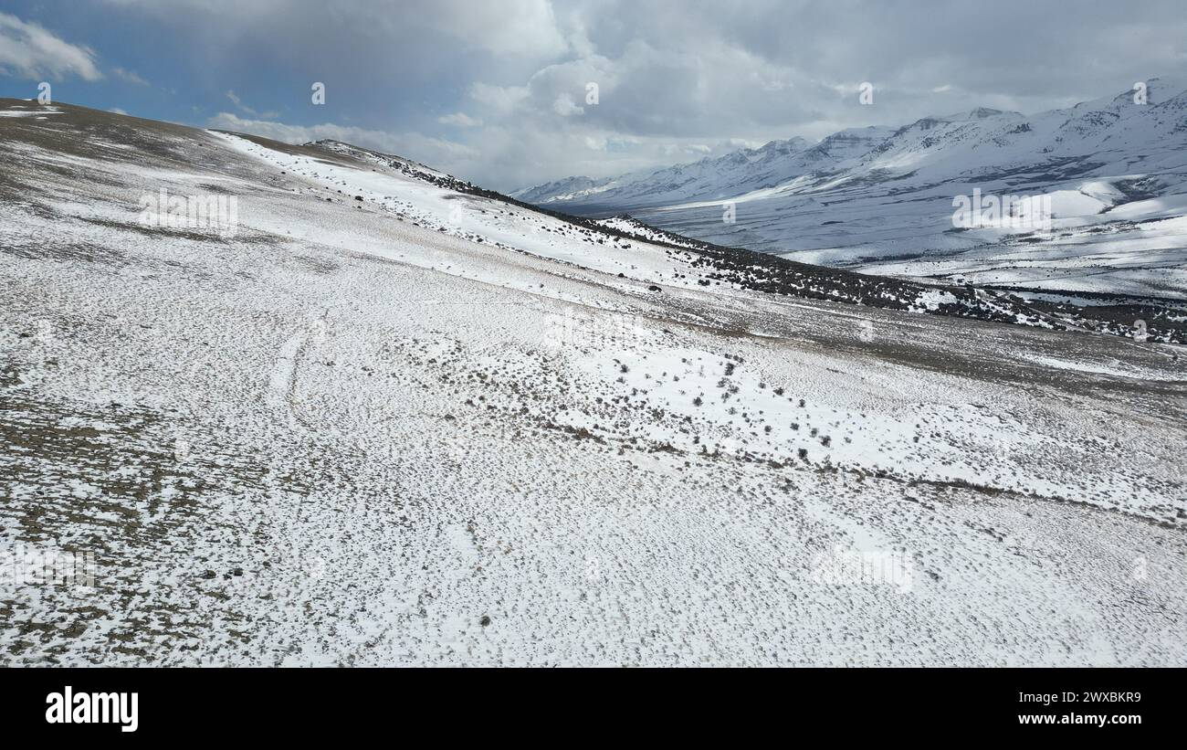 Snow-covered field and trees resembling mountains in the distance Stock ...