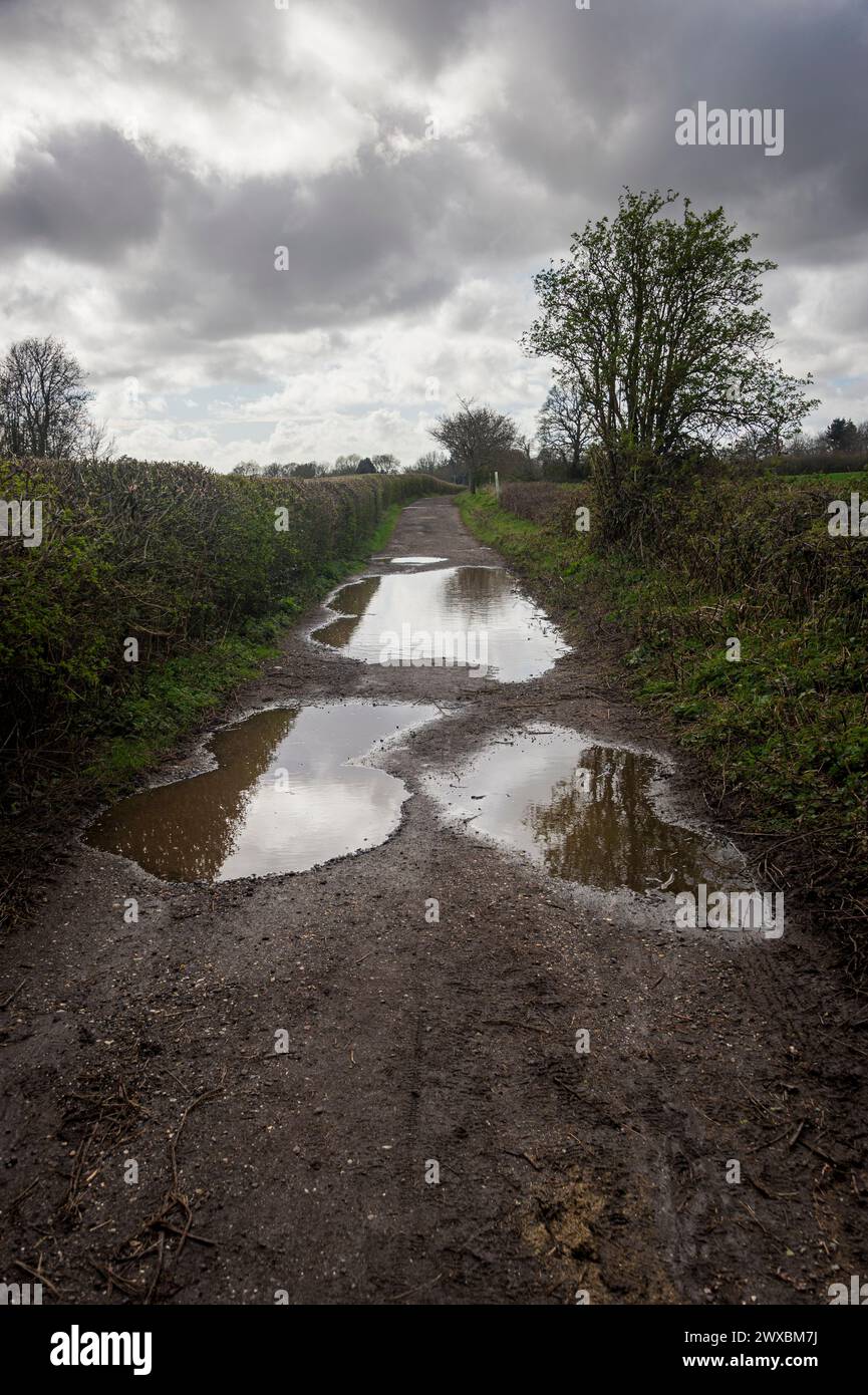 Muddy track hi-res stock photography and images - Alamy