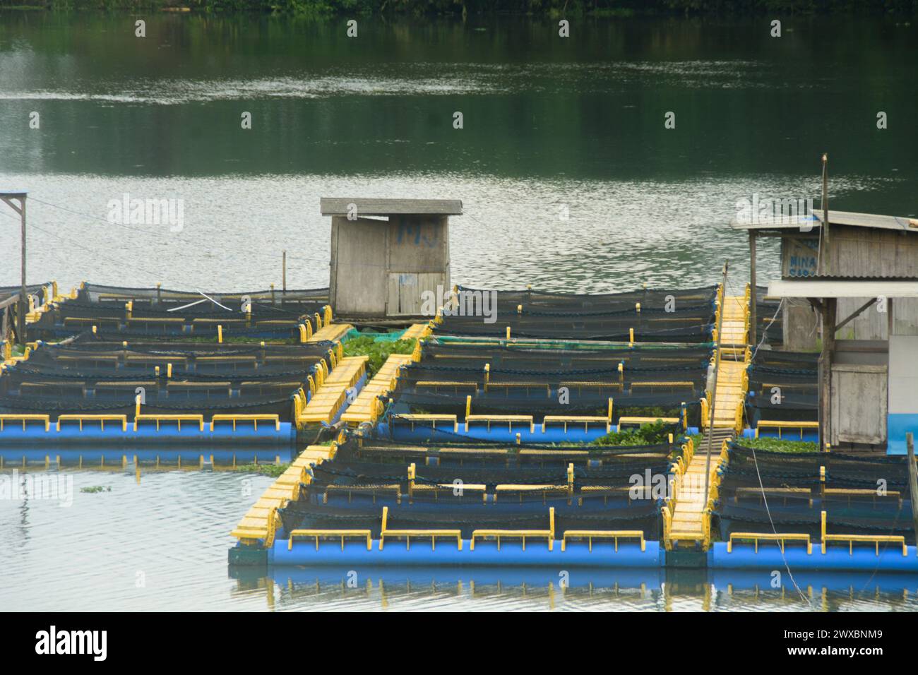 scene of fish ponds in the middle of the Wadaslintang dam in Wonosobo ...
