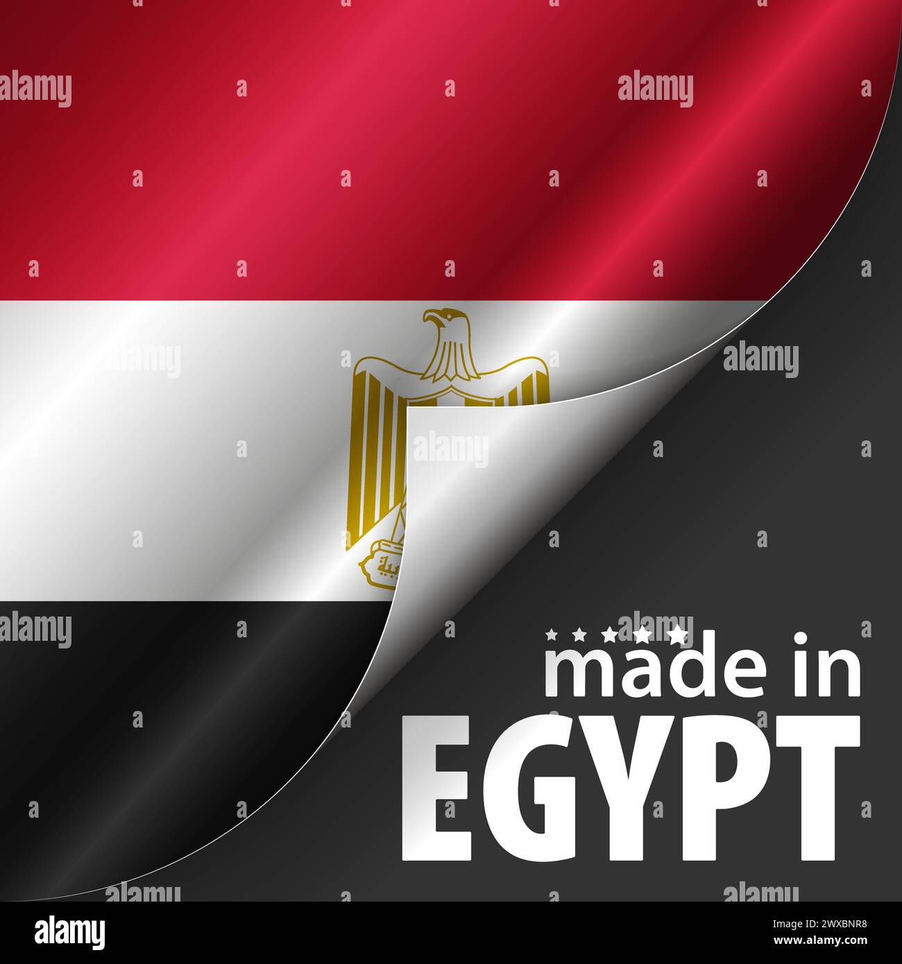 Made in Egypt graphic and label. Element of impact for the use you want ...