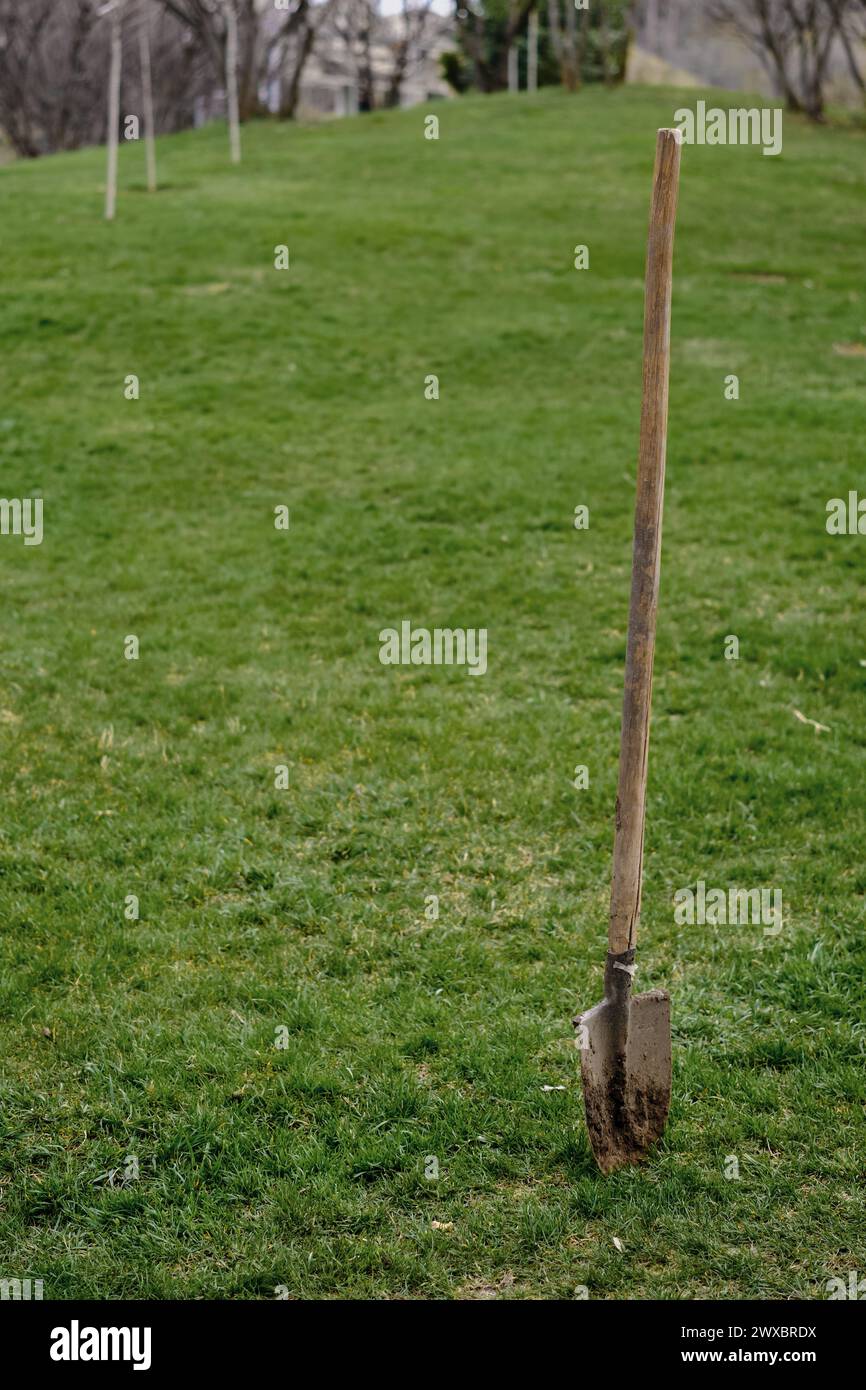 Shovel stuck in green lawn, park maintenance gardening tool, vertical ...
