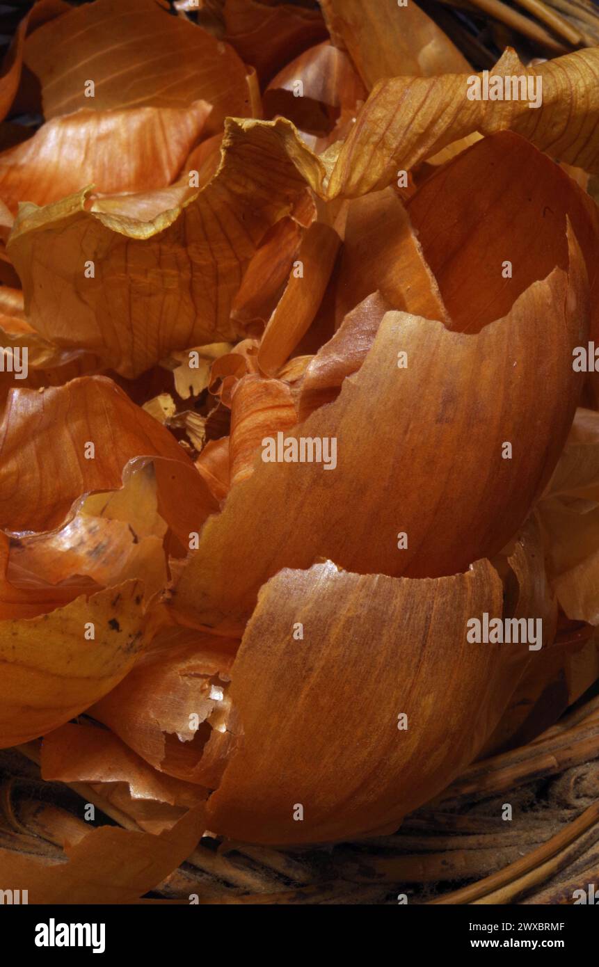 Onion shells hi-res stock photography and images - Alamy