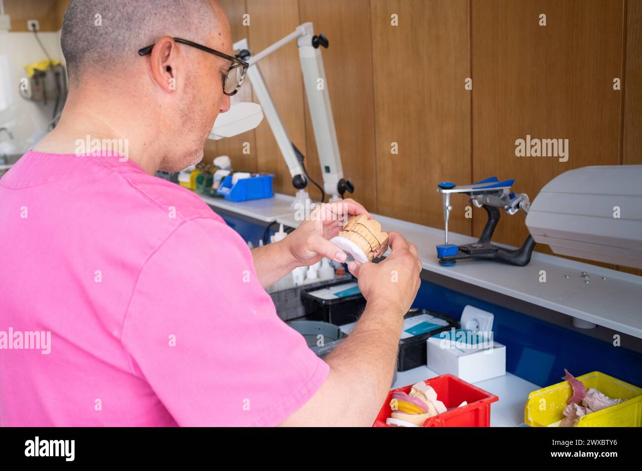 Dental cast plaster model hi-res stock photography and images - Alamy