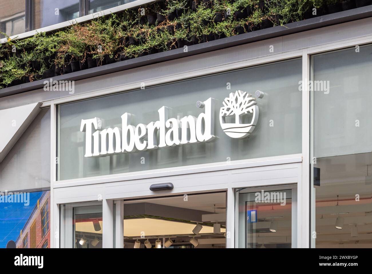 Detail of the signage branding and logo of a Timberland store. Detail ...