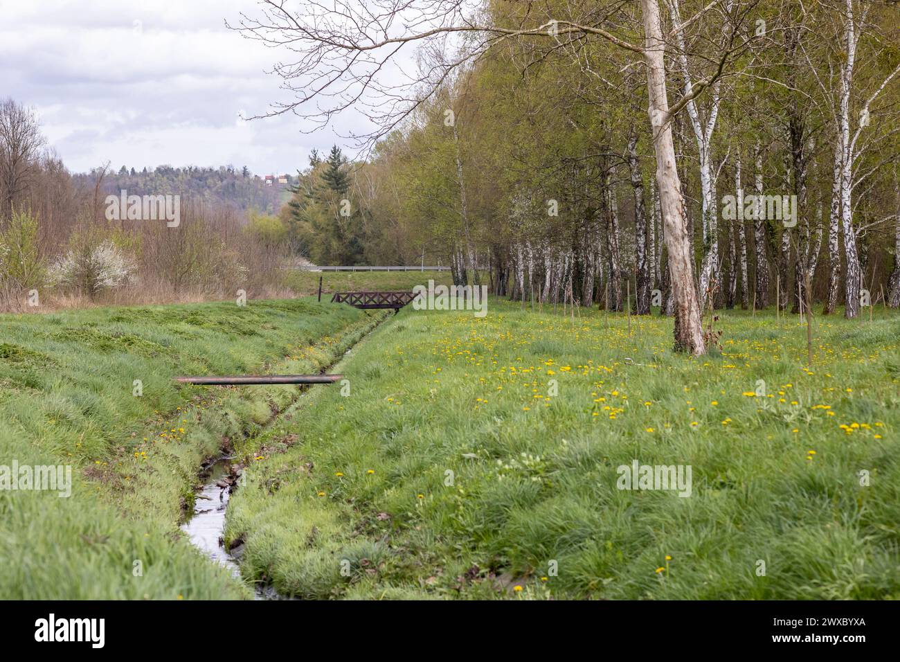At the forests edge hi-res stock photography and images - Alamy