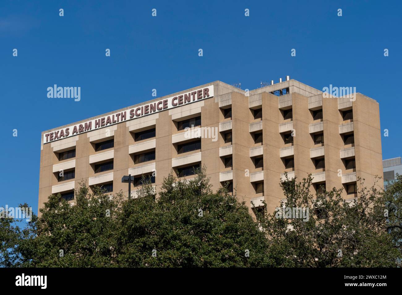Texas a and m science center hi-res stock photography and images - Alamy