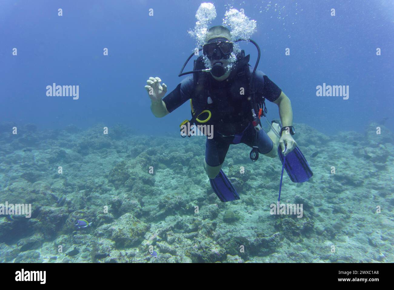 Scuba diver in dry suite underwater showing Ok. Underwater hand signals ...