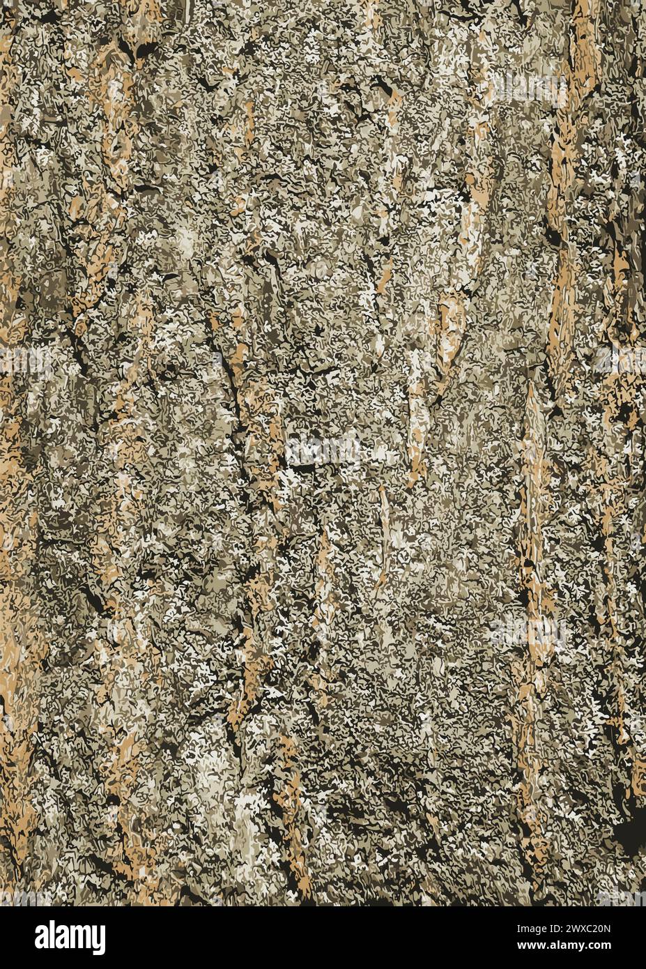 Vector illustration of the bark of the Golden Shower tree Koelreuteria ...