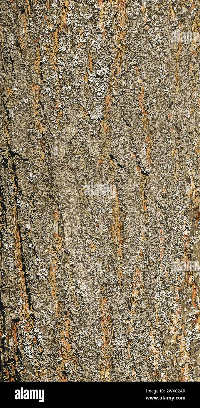 Vector illustration of the bark of the Golden Shower tree Koelreuteria ...