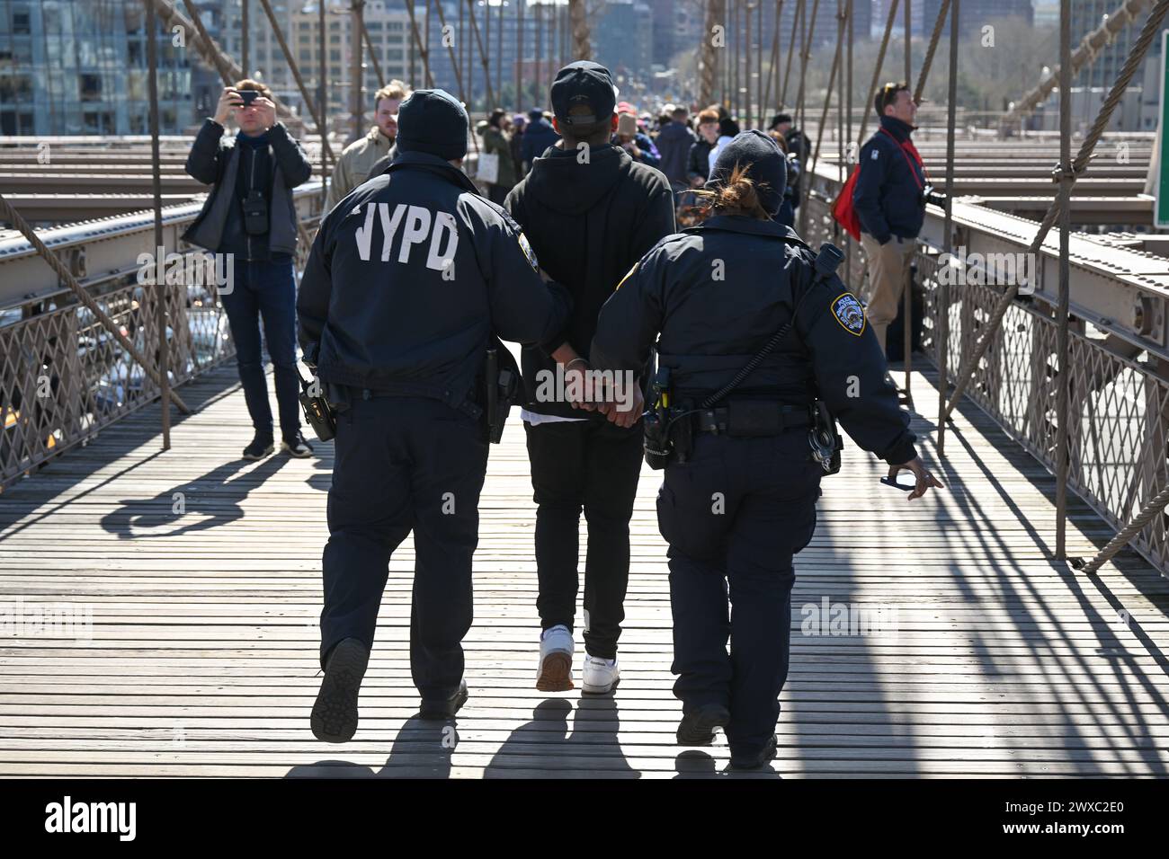 Police officers arrest an emotionally disturbed person on the Brooklyn ...