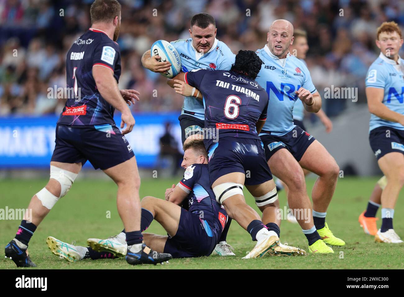 Sydney, Australia, 29 March, 2024. Dylan Pietsch of the Waratahs runs ...