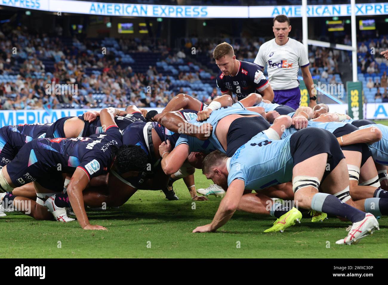 Sydney, Australia, 29 March, 2024. James Tuttle of Melbourne Rebels ...