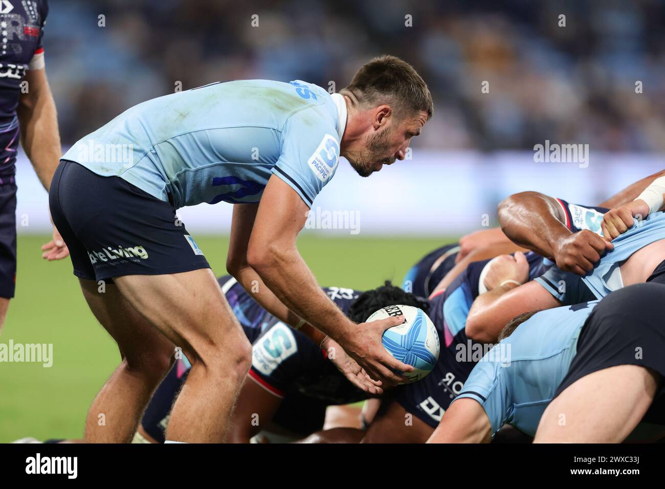 Sydney, Australia, 29 March, 2024. Jake Gordon of the Waratahs feeds ...