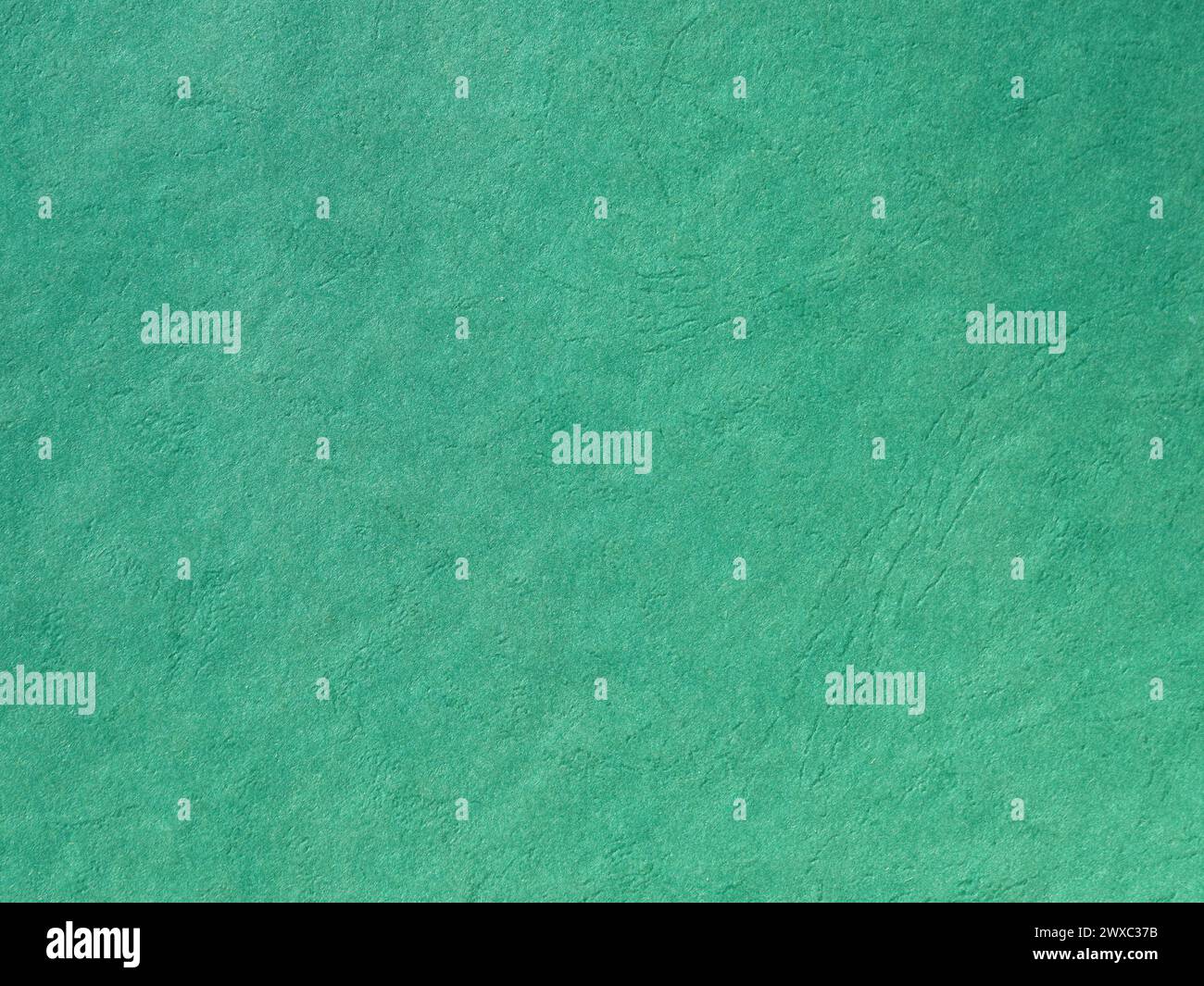 Green sheet of paper hi-res stock photography and images - Alamy