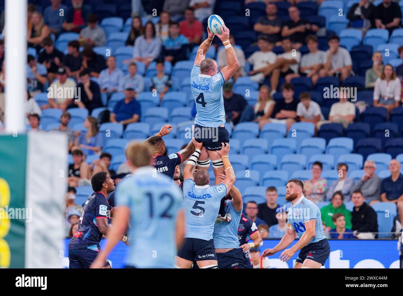 Sydney, Australia. 29th Mar, 2024. Jed Holloway of the Waratahs wins ...