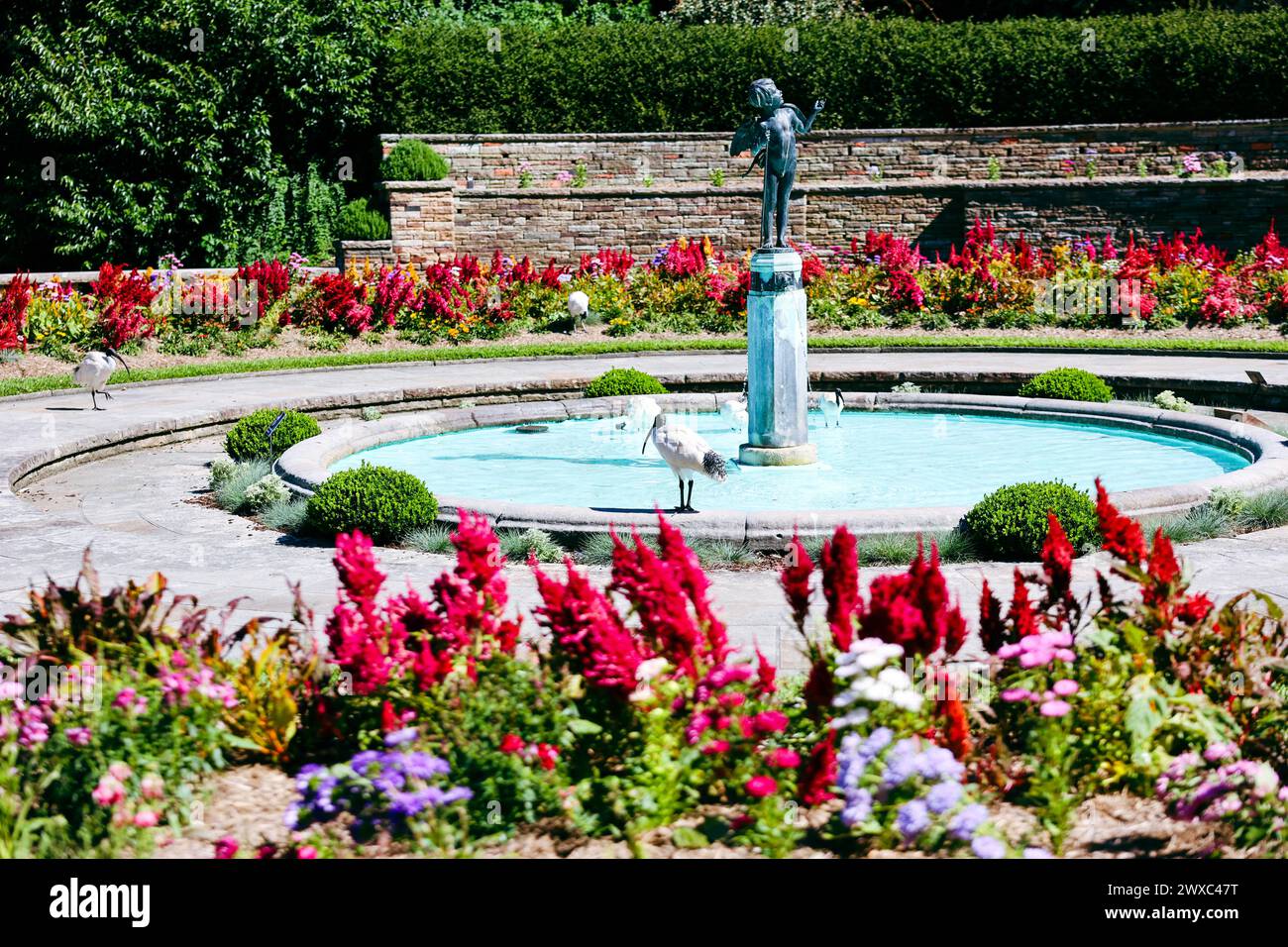 Fountain with angel in botanical garden in Sydney Stock Photo - Alamy