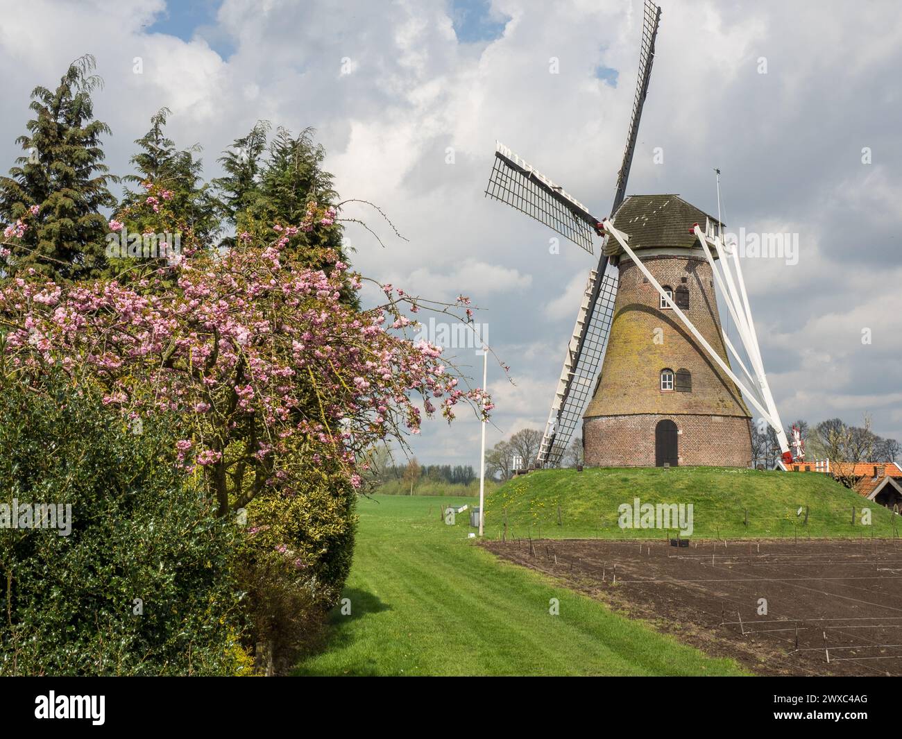 eibergen in the netherlands Stock Photo - Alamy