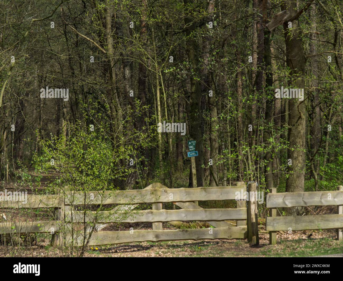 eibergen in the netherlands Stock Photo - Alamy