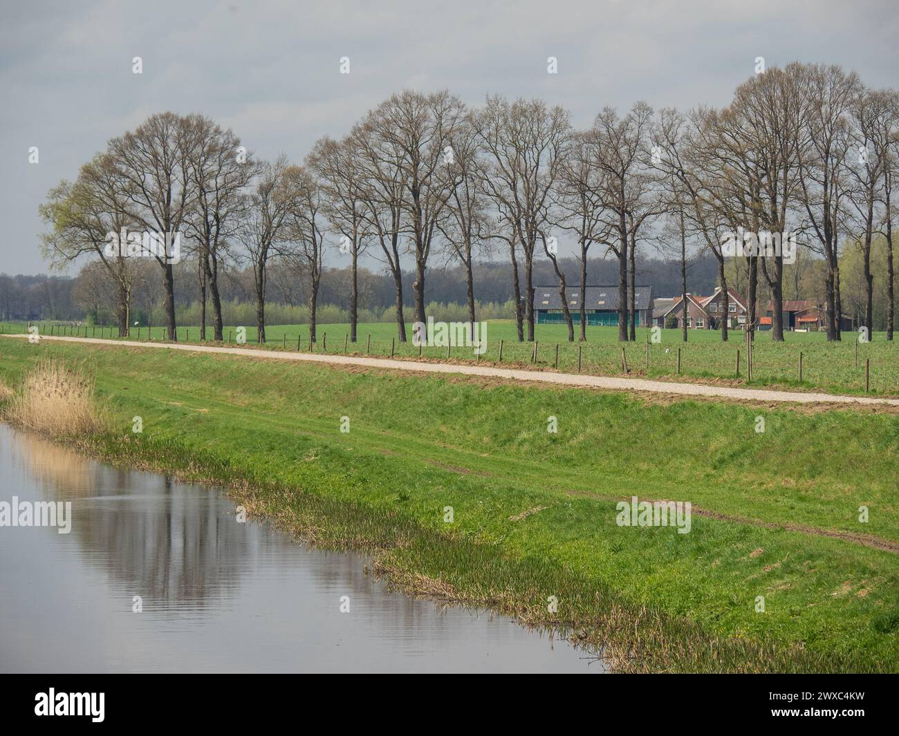 eibergen in the netherlands Stock Photo - Alamy