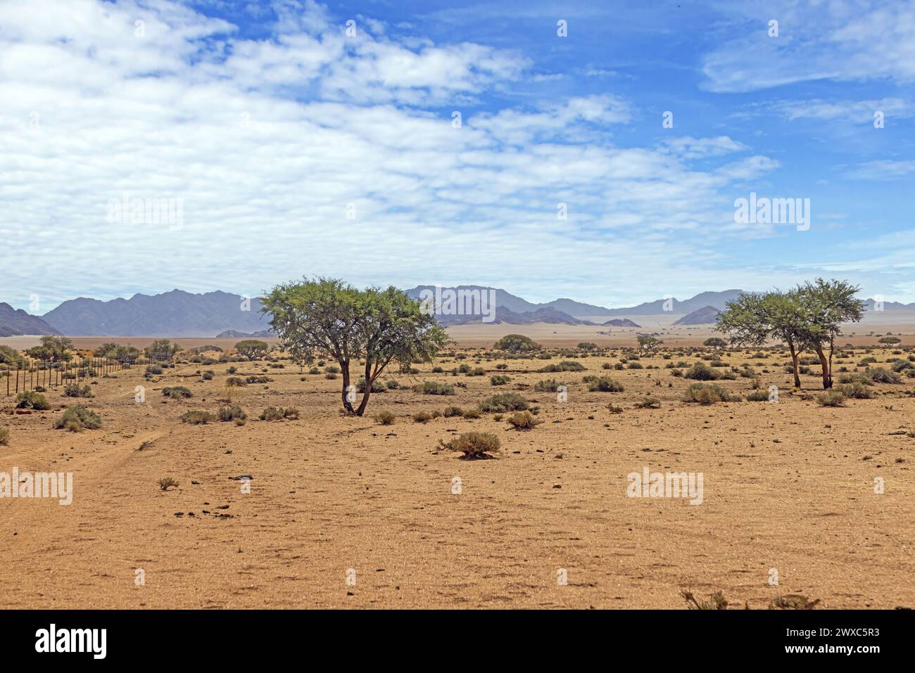 Picture of the unique landscape of the Tiras Mountains on the edge of ...