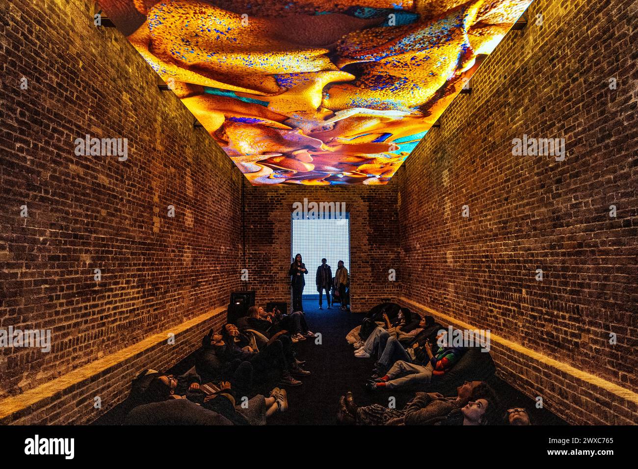 Refik Anadol 'Echoes of the Earth: Living Archive' (2024) AI generated digital exhibition ...