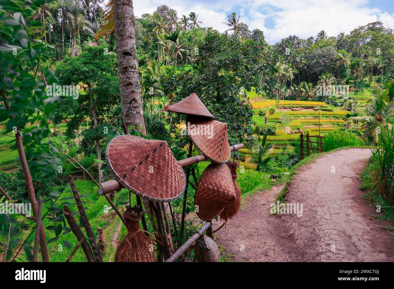 Balinese hats for rice harvesting Stock Photo - Alamy