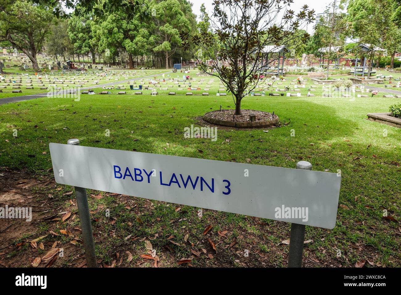The baby section of acemetery, burial ground, gravesite, or graveyard ...