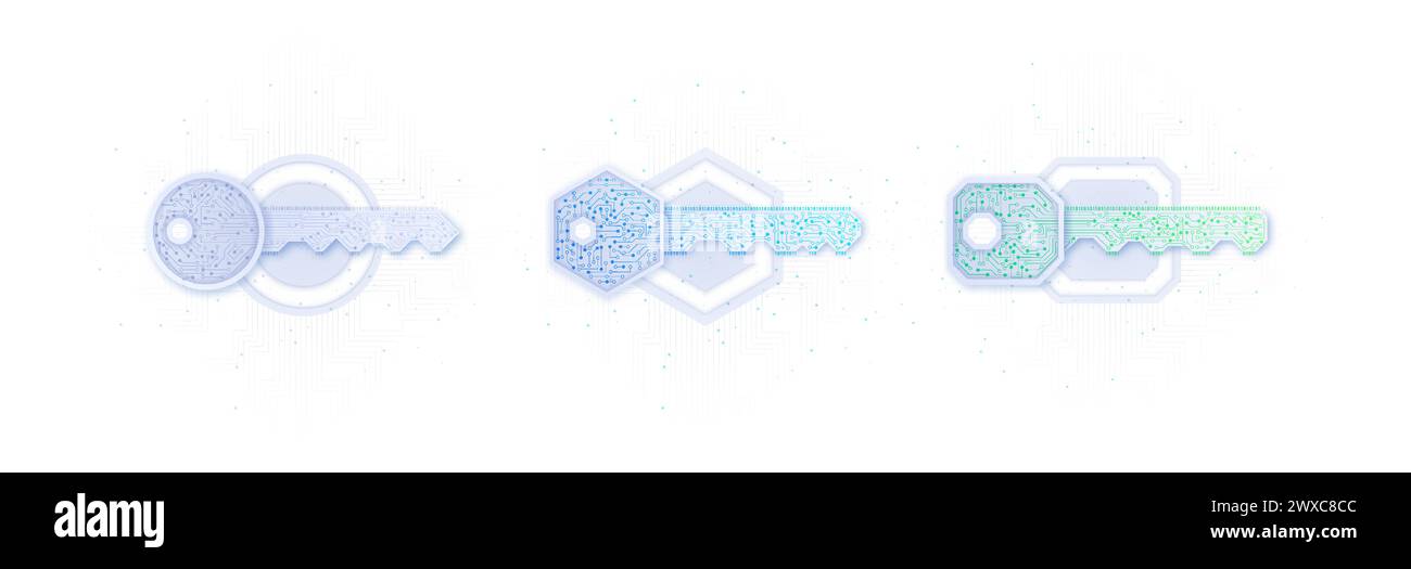 Private keys white vector set Stock Vector Image & Art - Alamy