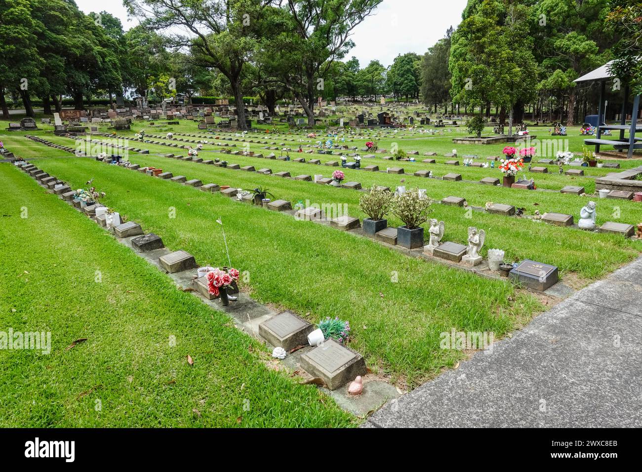 The baby section of acemetery, burial ground, gravesite, or graveyard ...