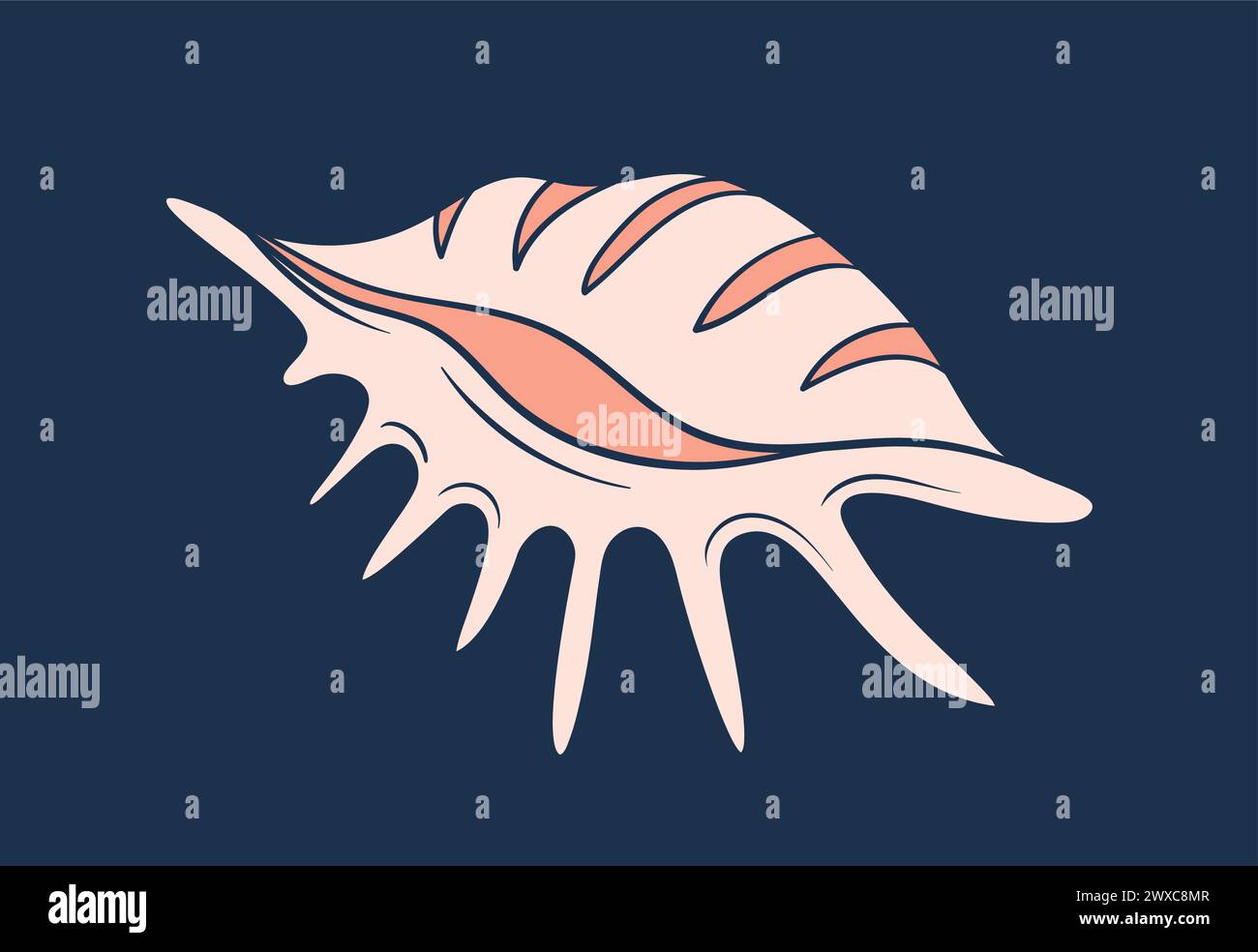 Seashell vector doodle concept Stock Vector Image & Art - Alamy