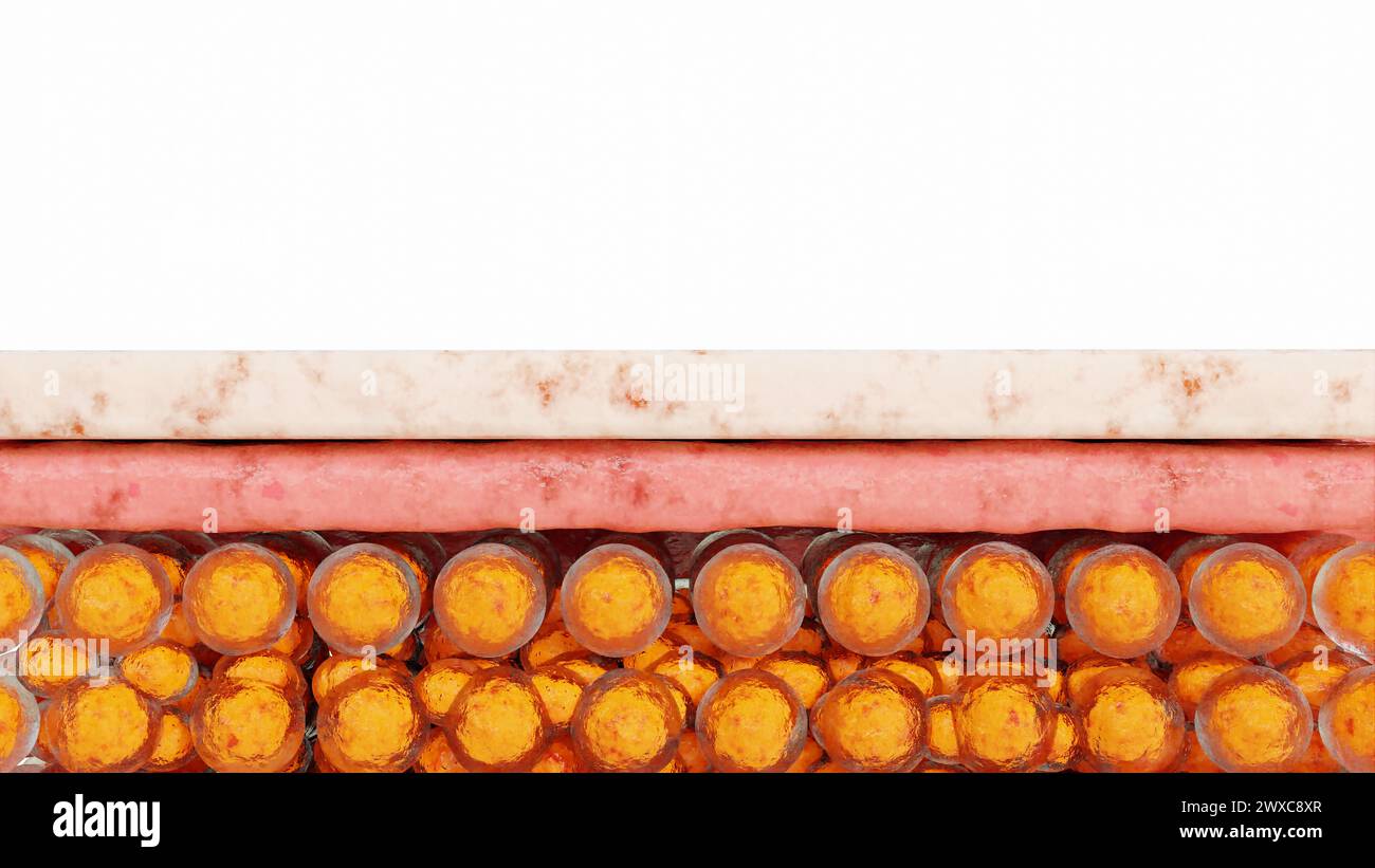 Weight loss Comparison. man body transformation. Before and after a ...