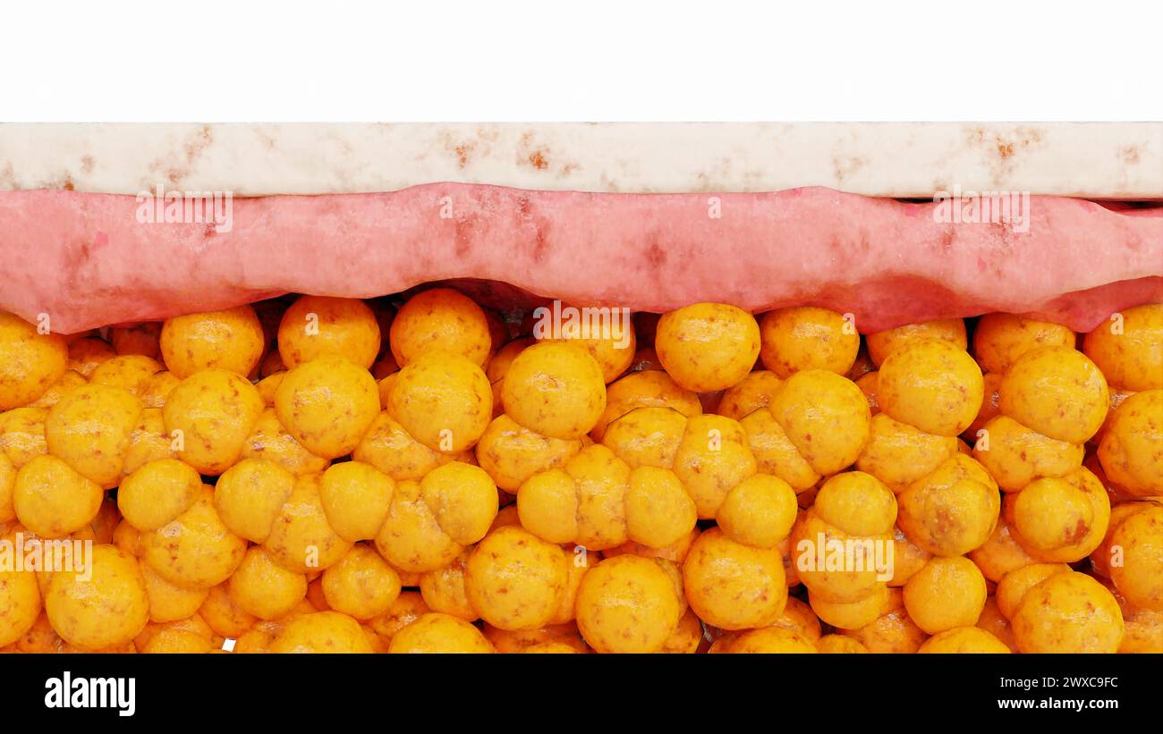 Weight loss Comparison. man body transformation. Before and after a ...