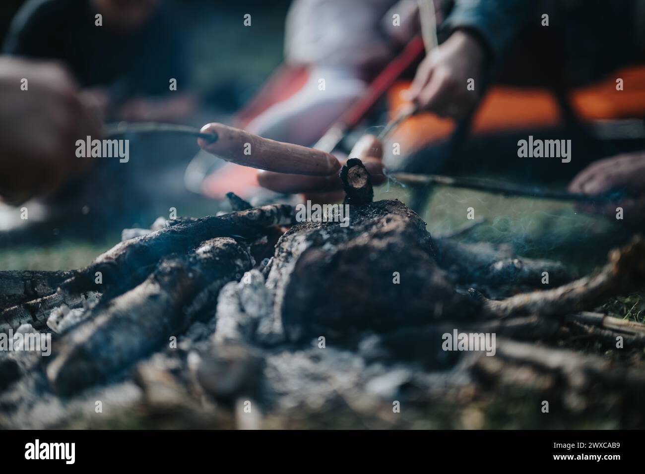 Friends roasting hot dogs over a campfire in a nature setting Stock ...