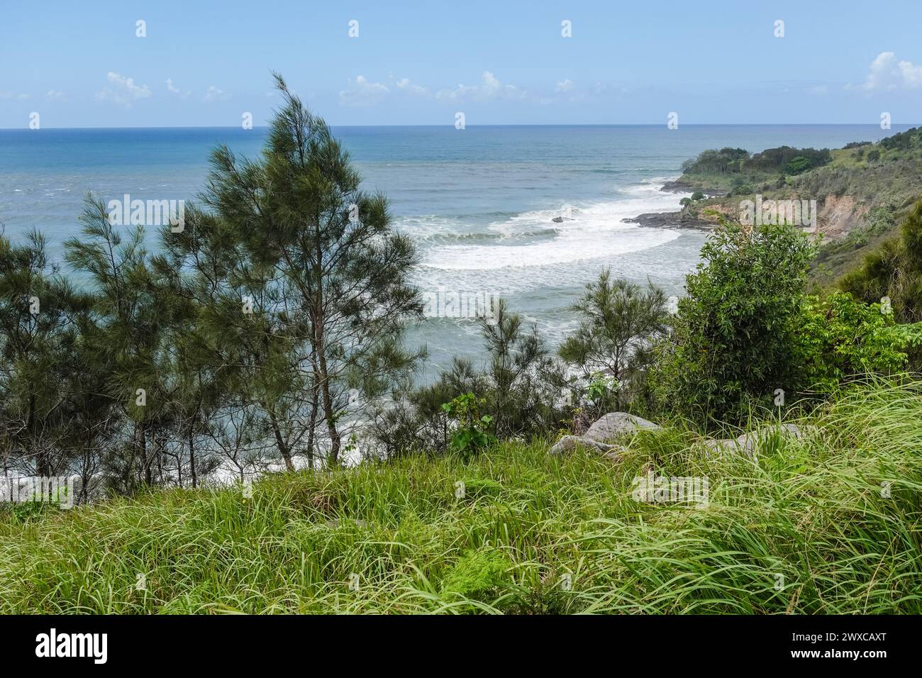 Razorback head hi-res stock photography and images - Alamy