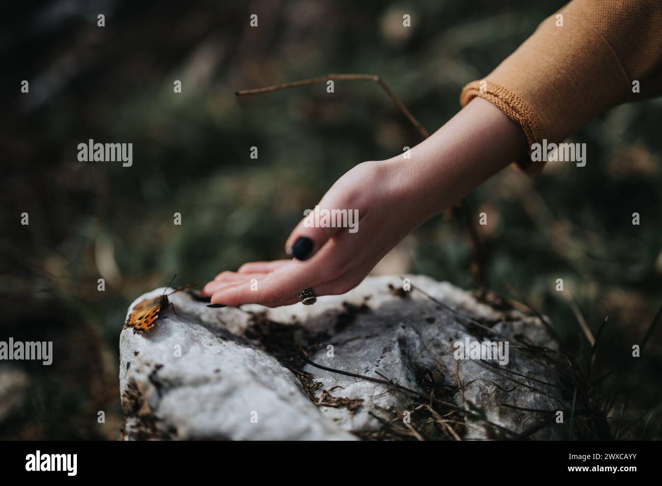 Human butterfly interaction hi-res stock photography and images - Alamy