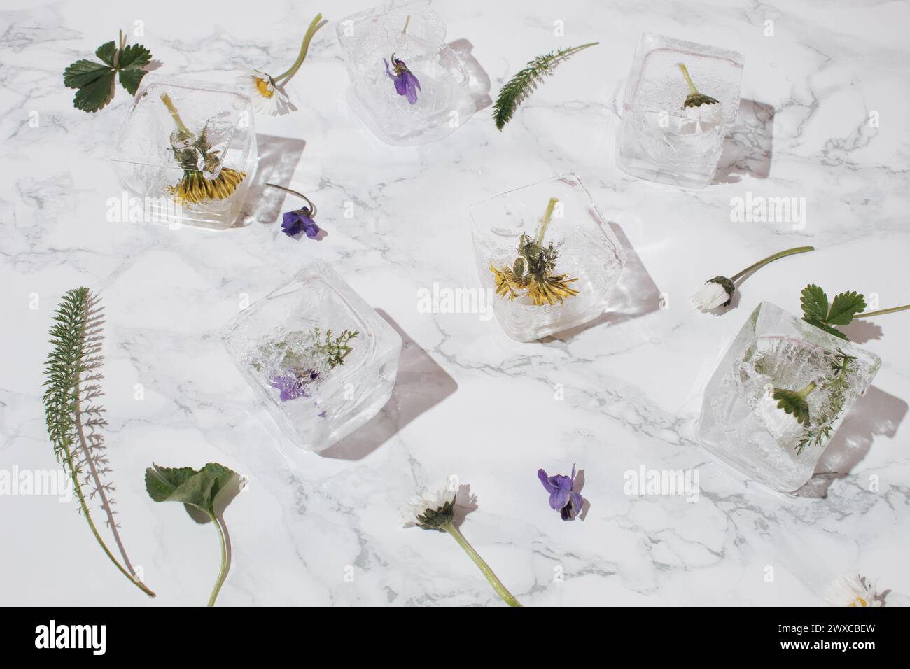 Ice cubes with spring flowers layout on marble background Stock Photo ...