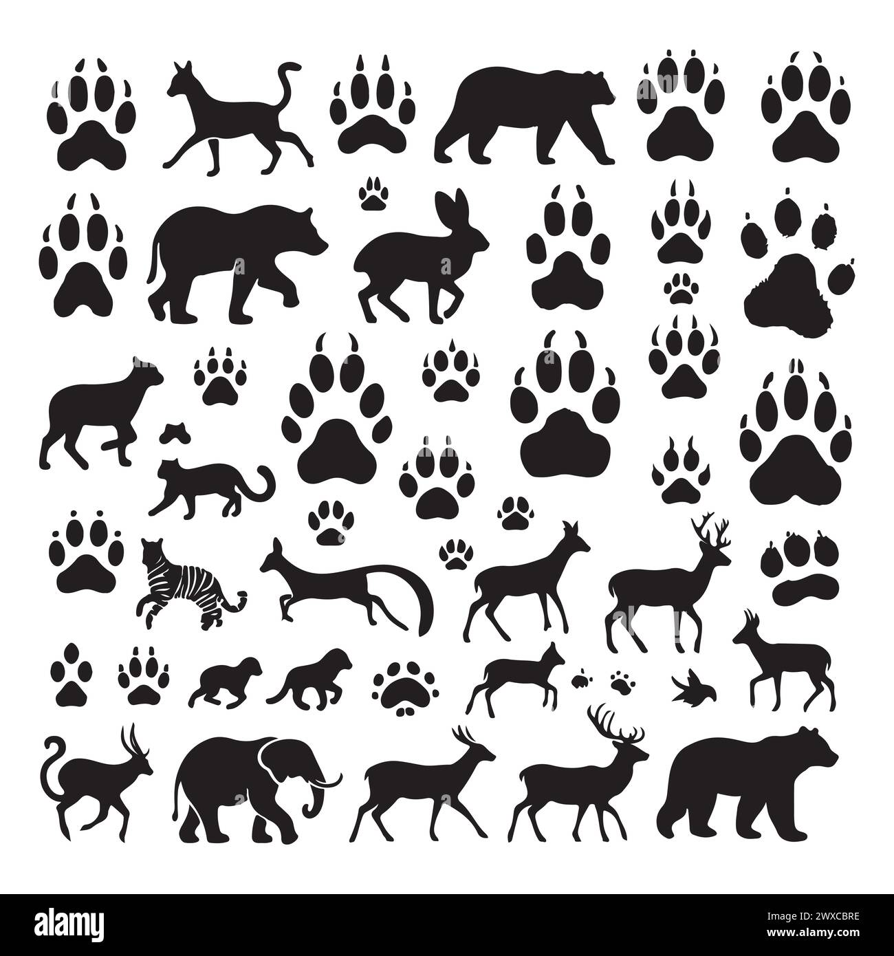 Animal Paw Print