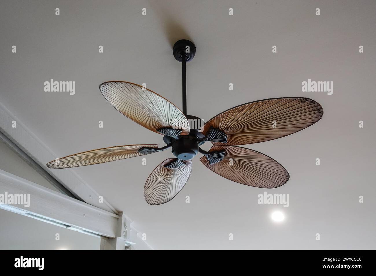 ceiling fan with blades that look like banana leafs, inside big banana ...