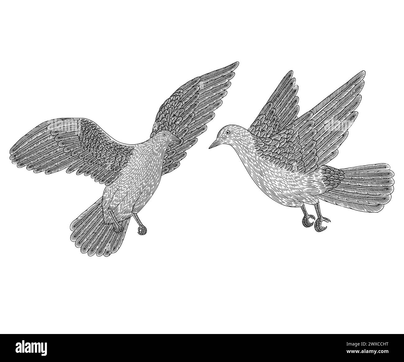 Couple of dove flying in the sky, Vintage engraving drawing style ...