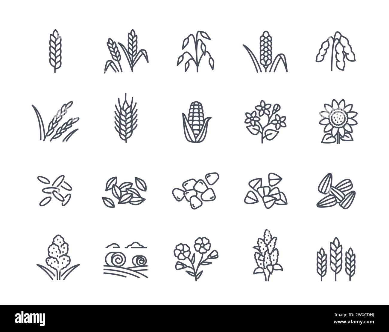 Vector Set of cereals linear icons Stock Vector Image & Art - Alamy