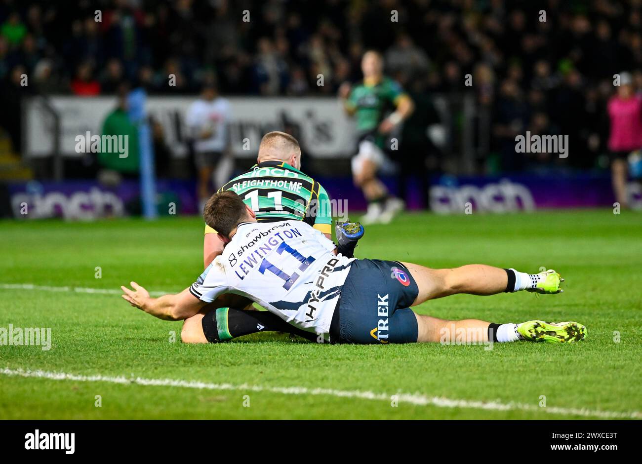 Northampton ENGLAND - March 29-2024 : Ollie Sleightholme of Northampton ...