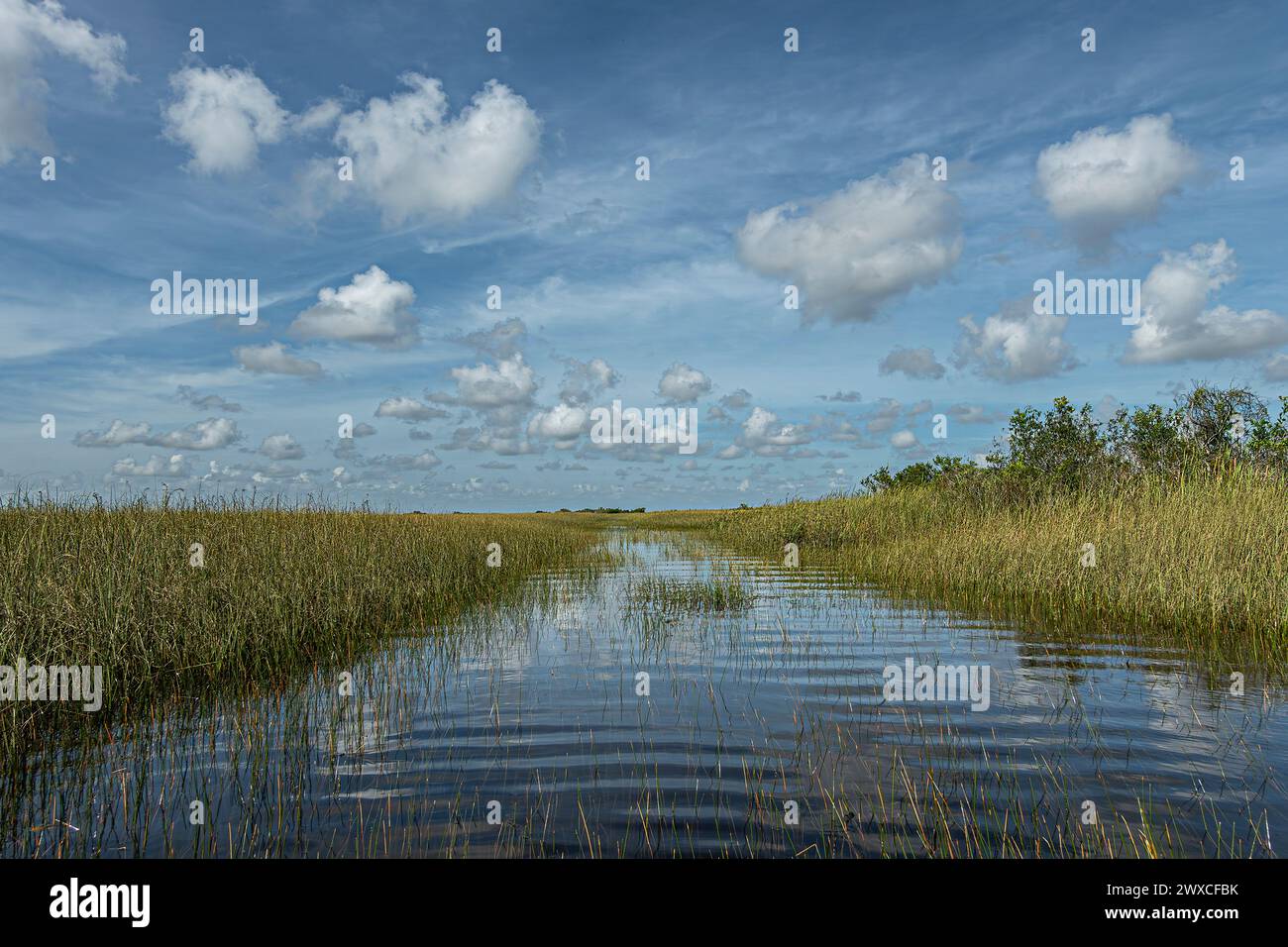 Everglades, Florida, USA - July 29, 2023: Wide landscape, River ...