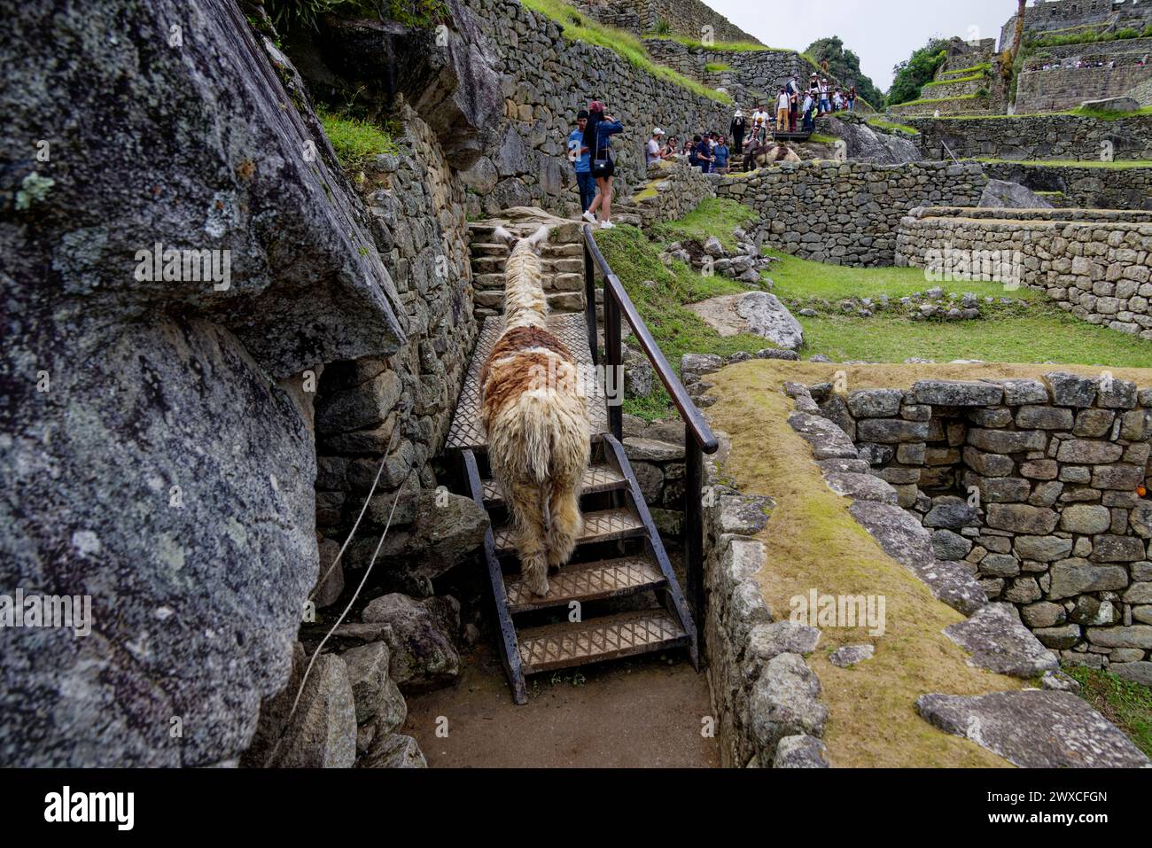 Machu Picchu, Peru. 6th Jan, 2024. Historic Sanctuary of Machu Picchu ...